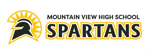 Mountain View High School - Library